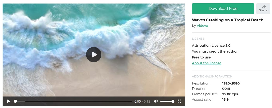 Mazwai – Nguồn video minh họa full HD miễn phí - VniTeach - Giáo viên 4.0
