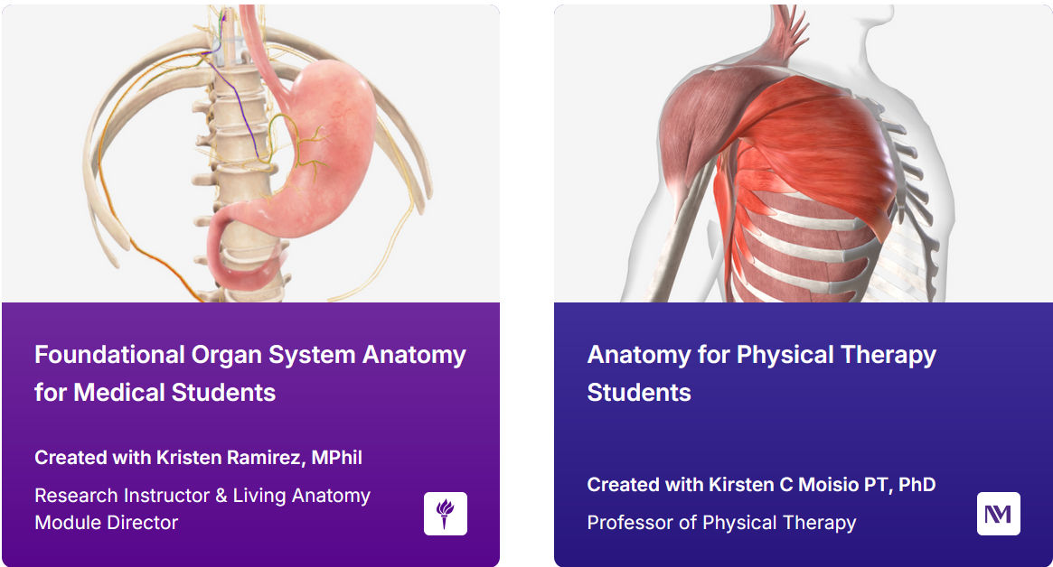 BioDigital Human – Nền tảng 3D trực quan hóa giải phẫu và bệnh học hàng ...